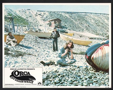 Orca 1977