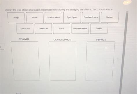 Solved Classify The Type Of Joint Into Its Joint