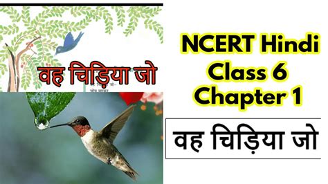 Ncert Solutions For Class 6 Hindi बसंत Chapter 1 वह चिड़िया जो