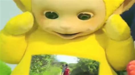 Teletubbies Baby Animals