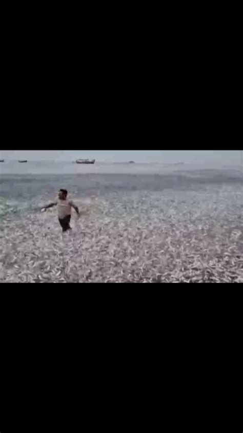 ‎عجایب بیگانه‎ ‎عجایببیگانه ناشناخته بیگانه یوفو یوفوها بشقاب