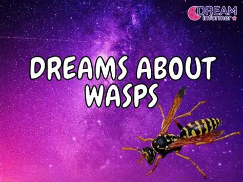 Dreams About Wasps Meaning And Interpretation Dream Informer R