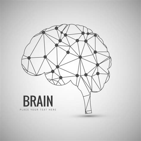 Line Drawing Of Brain At Getdrawings Free Download