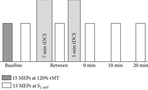 Experimental Protocol For Days 0 2 7 And 14 The Corticomotor