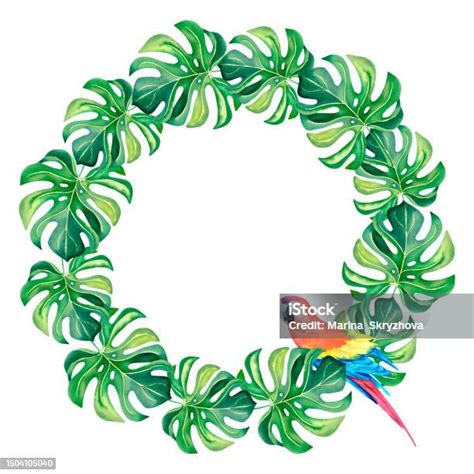 몬스테라와 잉꼬의 화환 열대 화환 고립된 배경에 수채화 그림 열대 조류 이국적인 새들 0명에 대한 스톡 벡터 아트 및 기타 이미지 Istock