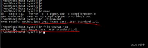 Popen 函数的使用，获取不到执行结果popen函数输出结果读不到 Csdn博客