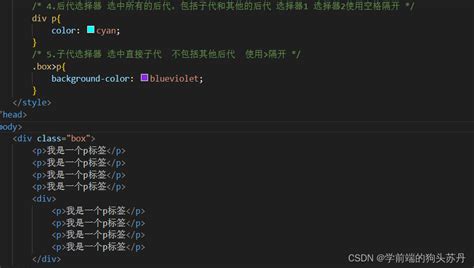 前端学习之css简介和选择器6 Csdn博客