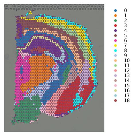 stsme clustering tutorial — stlearn 0 4 11 documentation