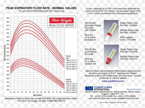 Expiratory Flow Rate Normal At Jordan Bullard Blog