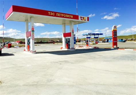 “ТЭС ПЕТРОЛИУМ” Халдвар илэрсэн эмэгтэй нөхрөө тусгаарлалтаас гарахаас өмнө чөлөө авсан Eguur Mn