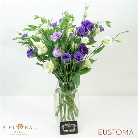 Eustoma Floral Bliss