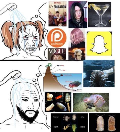 Deep Sea Isopod Meme Disegno Arte Arte Disegni