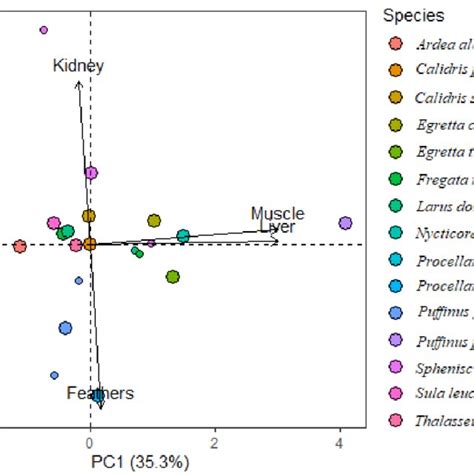Principal Component Analysis Pca Biplot Inferring The Relationship Of Download Scientific