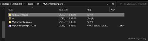 Vs创建自定义模板【一眼就会】vs W项目模版 Csdn博客