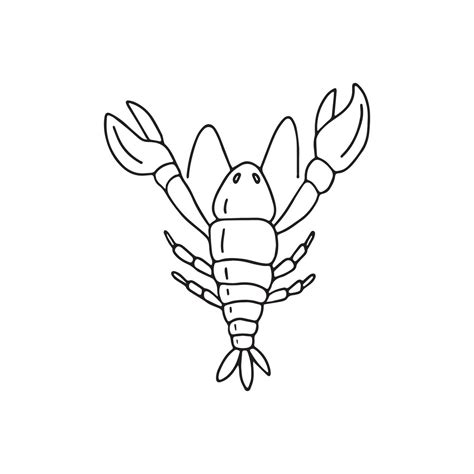 Hand Drawn Lobster Vector Illustration 26784504 Vector Art At Vecteezy