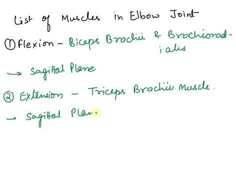 Solved Fill In The Chart By Listing The Muscles Primarily Involved In