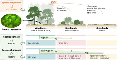 Urban Vegetation Types And Bryophyte Diversity Why Woodlands Matter Bohrium