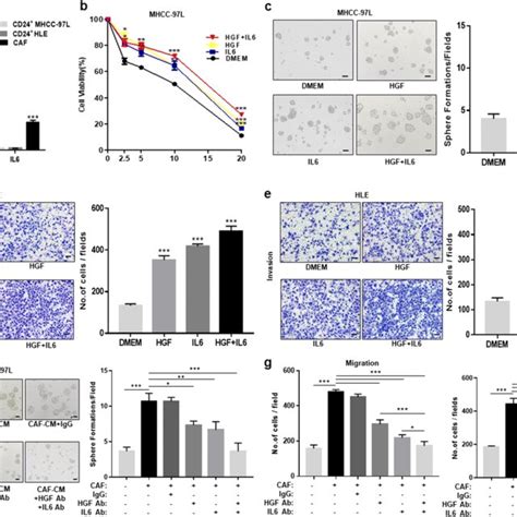 Bioluminescent Imaging Of The Mouse Model After Intra Cardiac Download Scientific Diagram