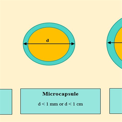 Classification Of Capsules According To Their Size Download Scientific Diagram