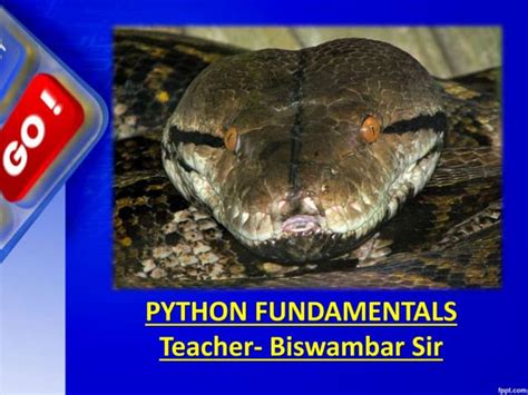 Biswa Sir Python Fundamentalspptx Biswa Sir Python Fundamentalspptx