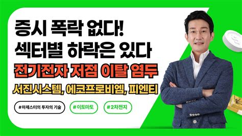 증시 폭락 없다 섹터별 하락은 있다 전기전자 저점 이탈 염두 마제스터 투자의기술 투자전략 서진시스템 에크프로비엠 피엔티 Youtube
