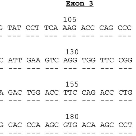 alignment of the exon 4 sequence of hla‐drb1 15 01 43 and download