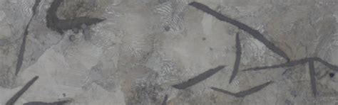 Metallic Grain Structures And Microscopic Analysis Insight