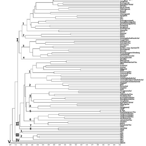 Dendrogram Depicting The Classification Of 90 Maize Varieties And