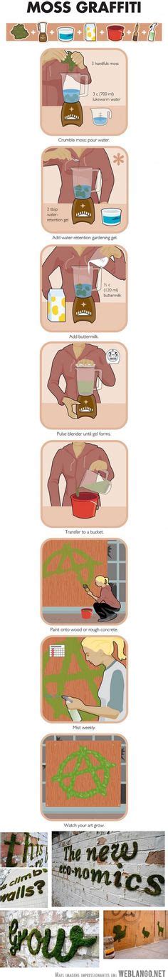 Tree Identification Extras Botany Plants And Leaves