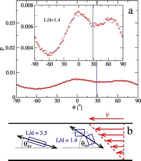 Color Online A Distribution Of The Orientational Angle θ Of The
