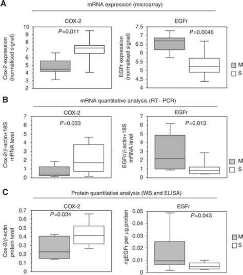 Cox 2 And Egfr Differences In Synchronous And Metachronous Metastases Download Scientific