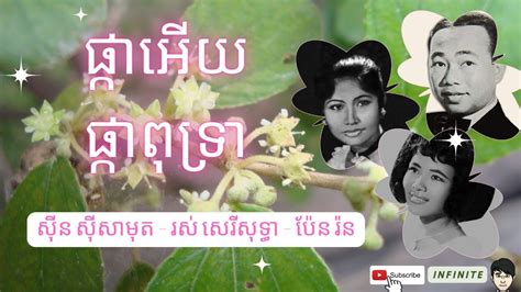 ផ្កាអើយផ្កាពុទ្រា សុីន សុីសាមុត រស់ សេរីសុទ្ធា ប៉ែន រ៉ន Youtube
