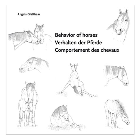 My Book Ethogram Of The Horse Angela Glatthaar
