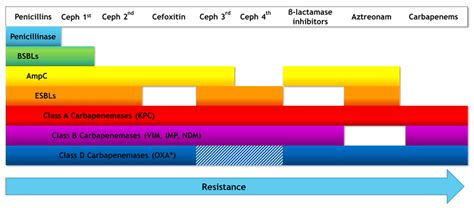 The Degradation Pattern For Each Type Of B Lactamase Cefoxitin Is