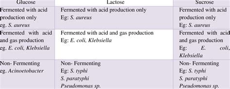Carbohydrate Fermentation Test Download Table