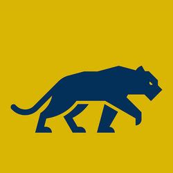 Black Panther Icon Vector Images Over 2 800