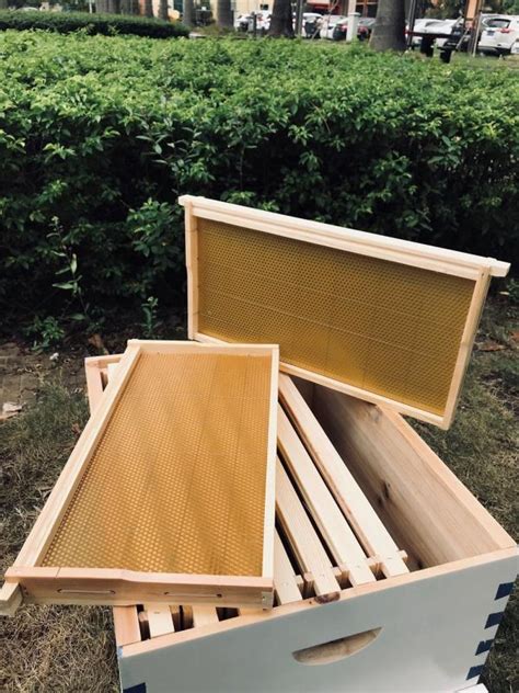 Beehive Frames With Wax Foundation 20 Pcs Fully Assembly Full Depth