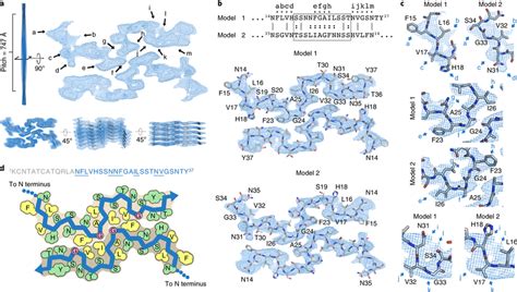 Cryo Em Map Of Hiapp Fibrils And Identification Of Two Models A Left Download Scientific