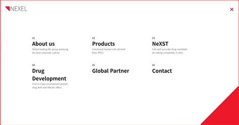 Ipsc Cardiomyocytes Hepatocytes Neurons Biotechnology Stemcell