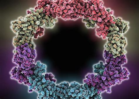 Rna Interference Viral Suppressor Greeting Card By Science Photo Library