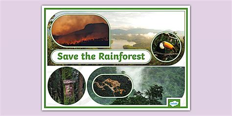 Save The Rainforest Photo Display Poster Twinkl