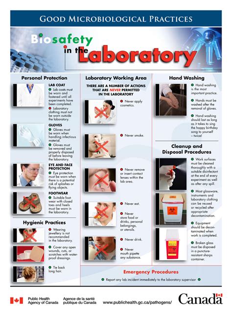 Canadian Biosafety Guideline Biosafety In The Elementary Intermediate