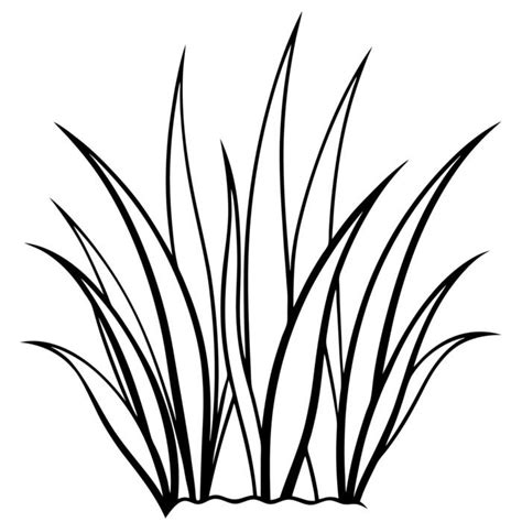 Grass Coloring Page Vector Art Icons And Graphics For Free Download