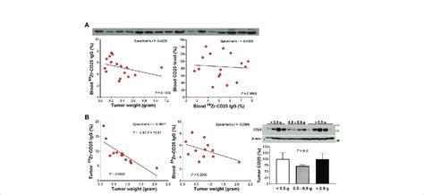 Circulating Free Cd25 Level And Effect On Blood 89 Zr Cd25 Igg A