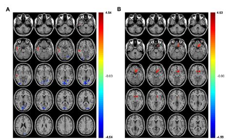 Figure 1 From Exploring The Potential Brain Cognition Behavior