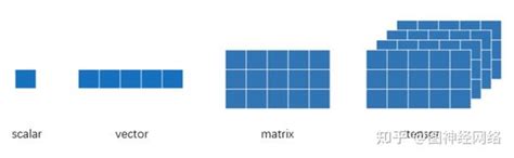 torch张量的快速理解 知乎
