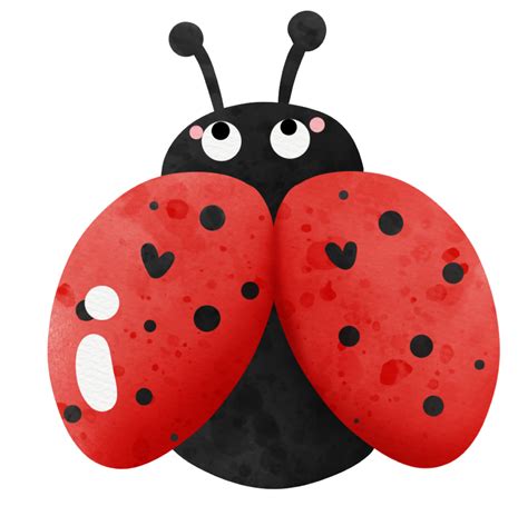 Cute Lady Bug 25173894 Png