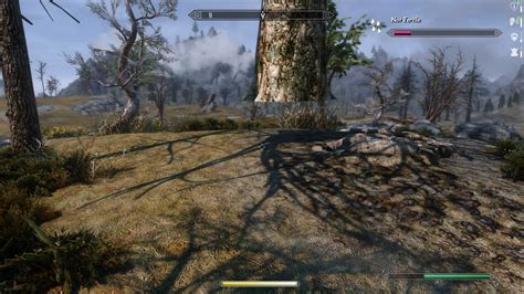 Skyrim Dark Forests Clippinggaps Skyrim Technical Support Loverslab