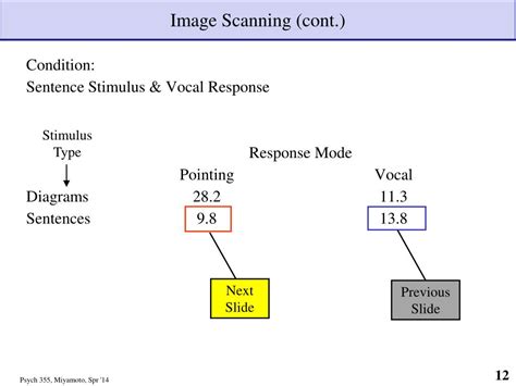 Ppt Visuospatial Sketchpad Vsp And The Central Executive Powerpoint Presentation Id 1850426