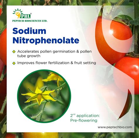 Peptech Biosciences Ltd Elevate Your Crop Game With Sodium